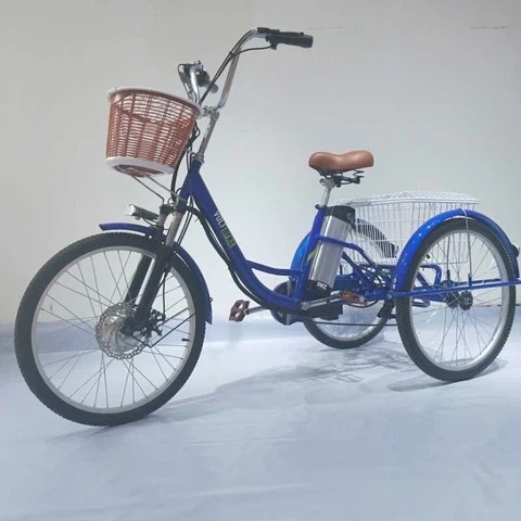 Triciclo Electrico VoltBike Rodado 24 " Motor 250w • GoStore