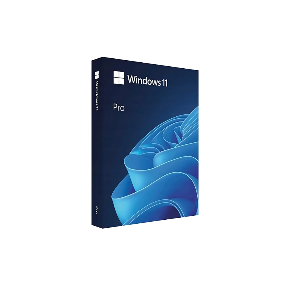 Windows 11 Pro OEM • GoStore